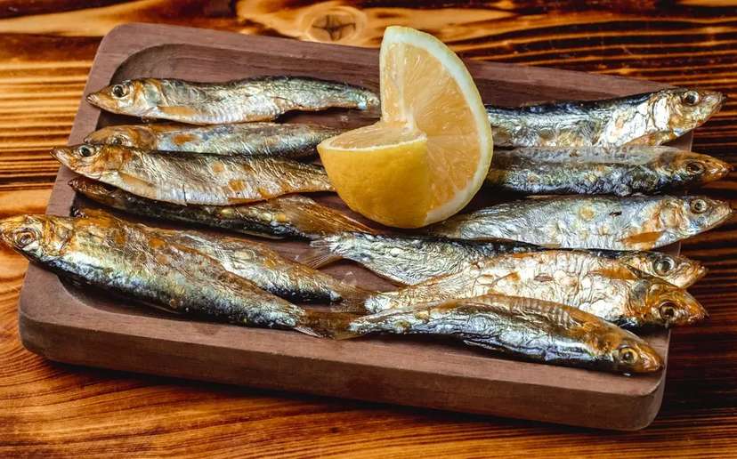 Atilla Restaurant and Pub | Bolt Food