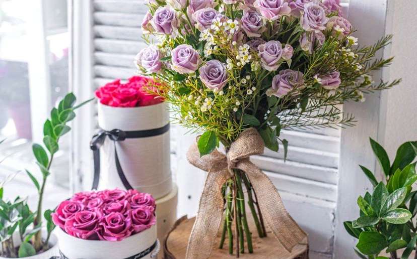 Blue Garden Flower | Bolt Food